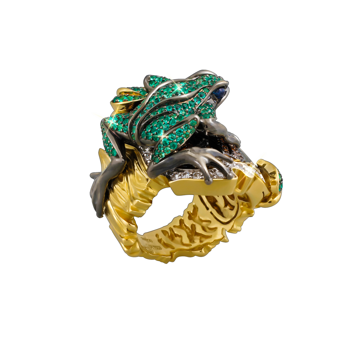 «Древесная лягушка»